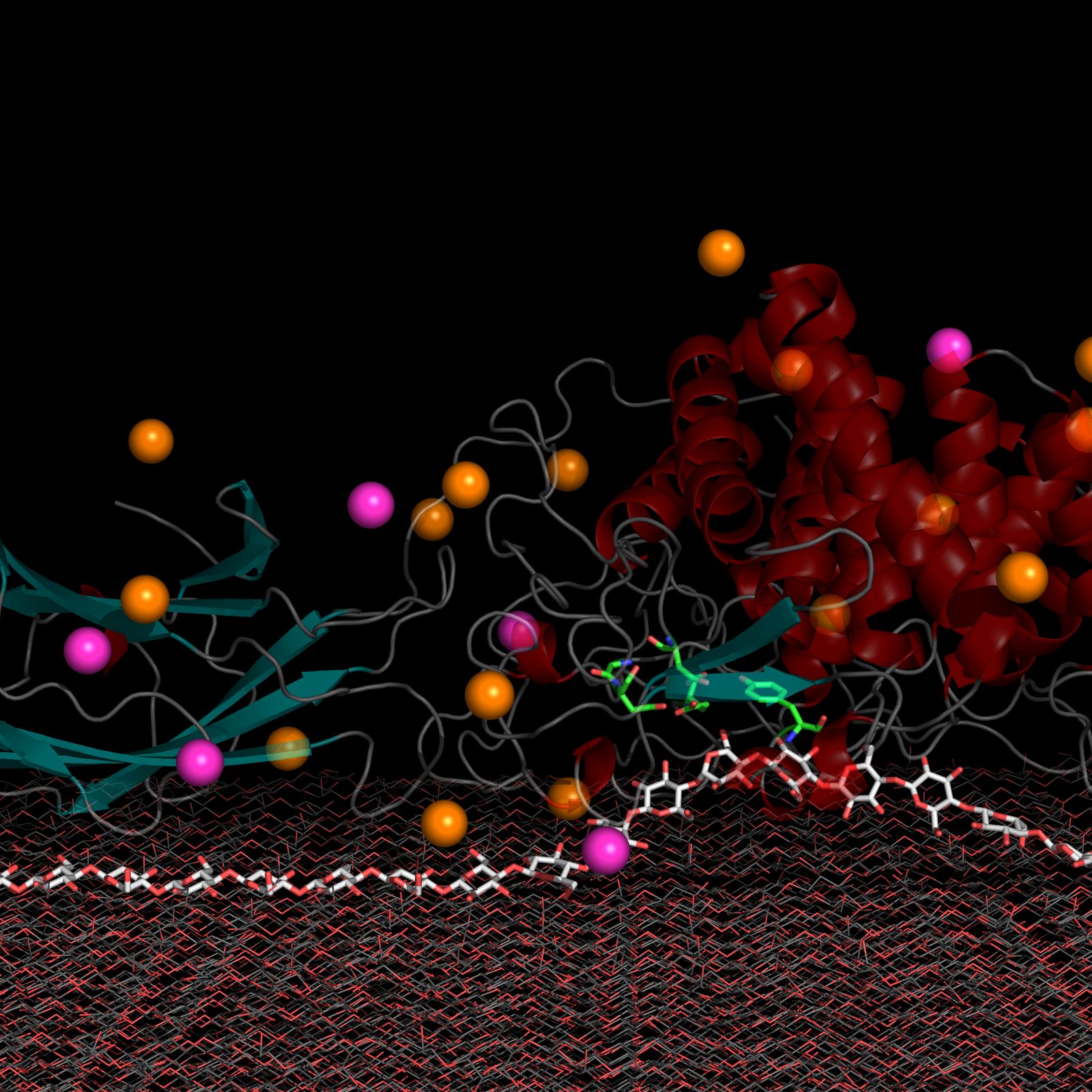 Enhancing Enzymes Deixis Online Deixis Online