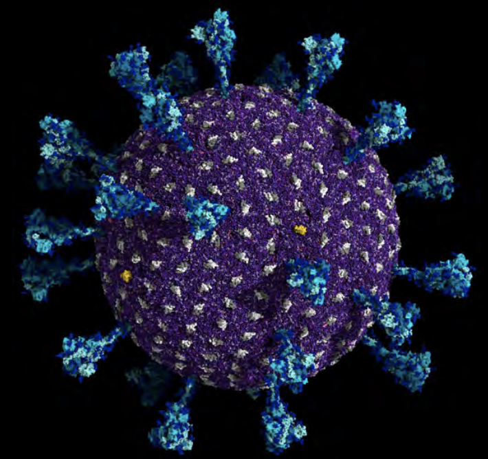 Decoding disease - Deixis Online Deixis Online Decoding disease - Deixis Online Deixis Online